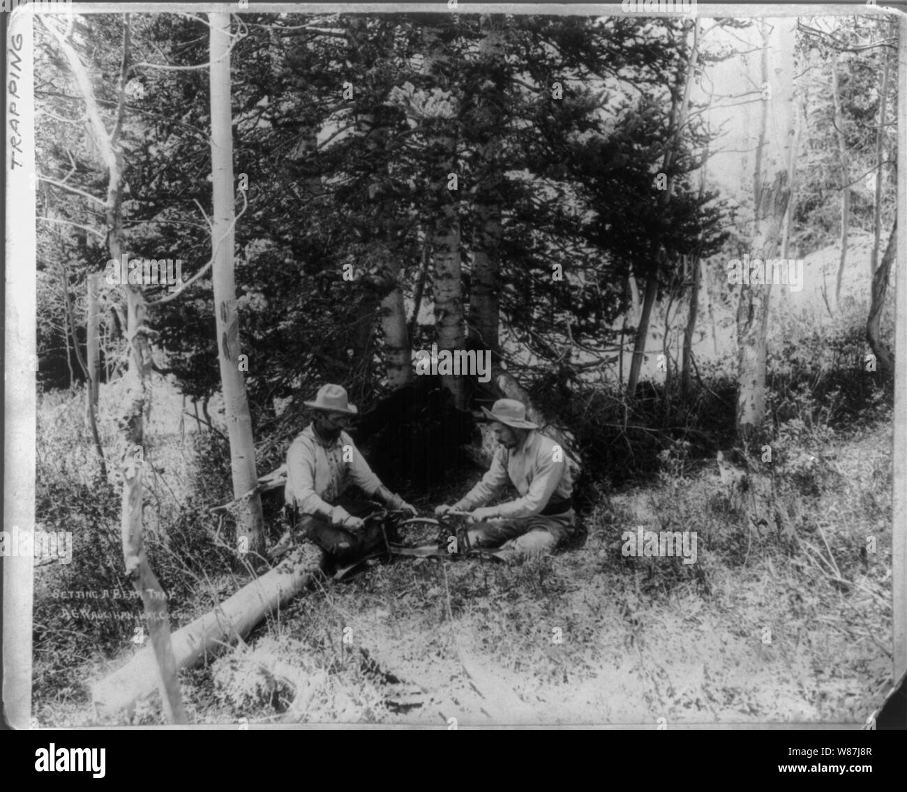2 men Setting a Bear Trap Stock Photo - Alamy