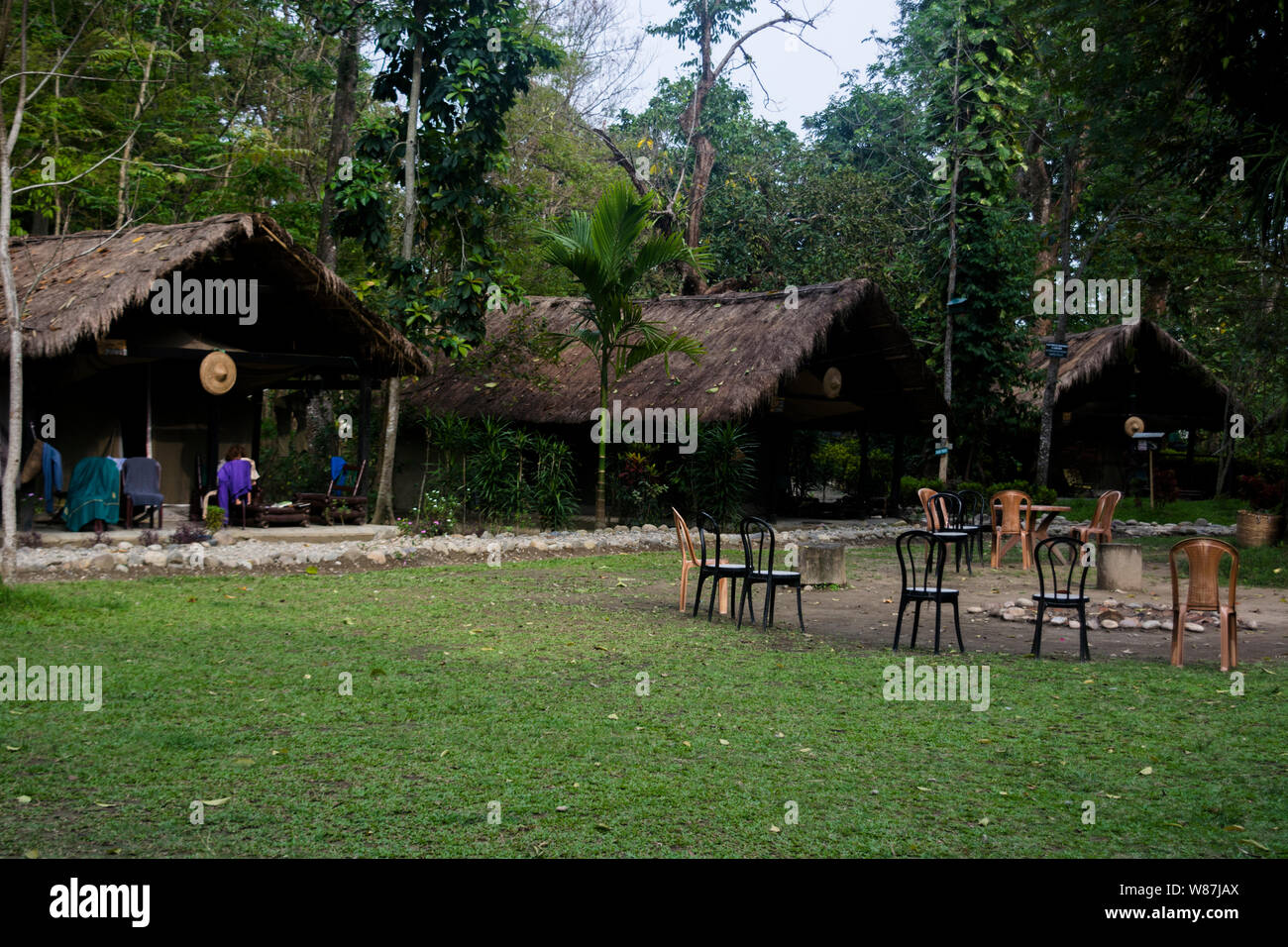 Nameri national park hi-res stock photography and images - Alamy