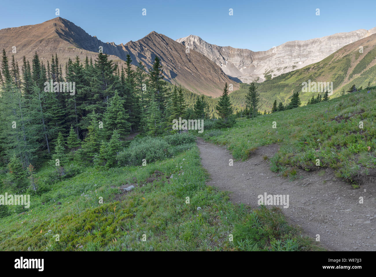Highwood Pass in Peter Lougheed Provincial Park, Alberta, Canada Stock ...