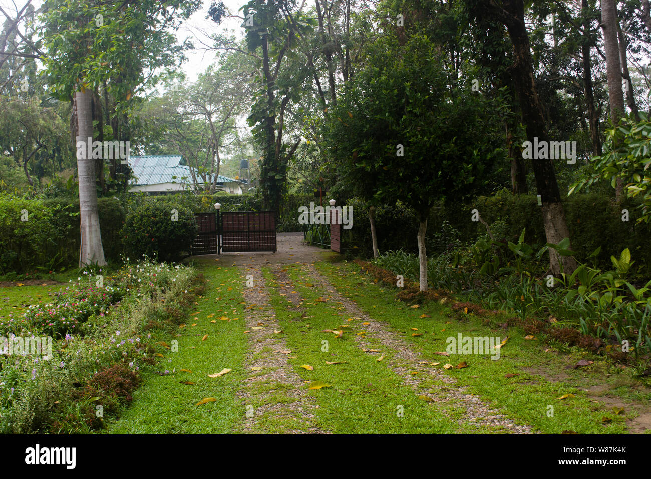 Pictures of Wild Mahseer - an eco-conscious heritage resort in North ...