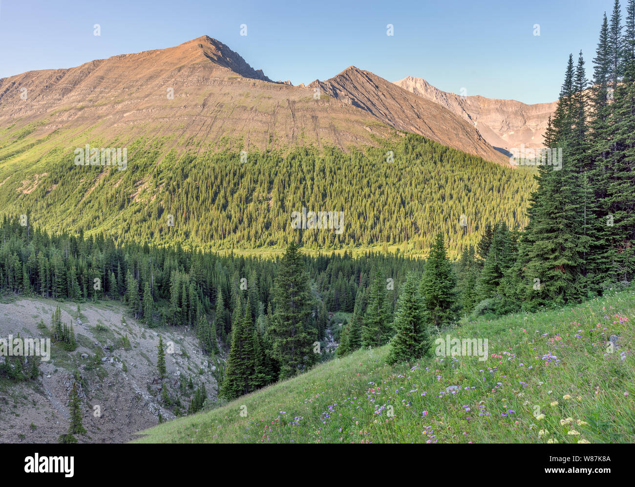 Highwood Pass in Peter Lougheed Provincial Park, Alberta, Canada Stock ...