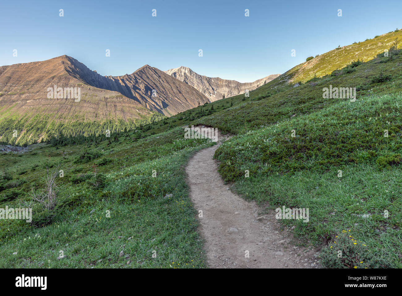 Highwood Pass in Peter Lougheed Provincial Park, Alberta, Canada Stock ...