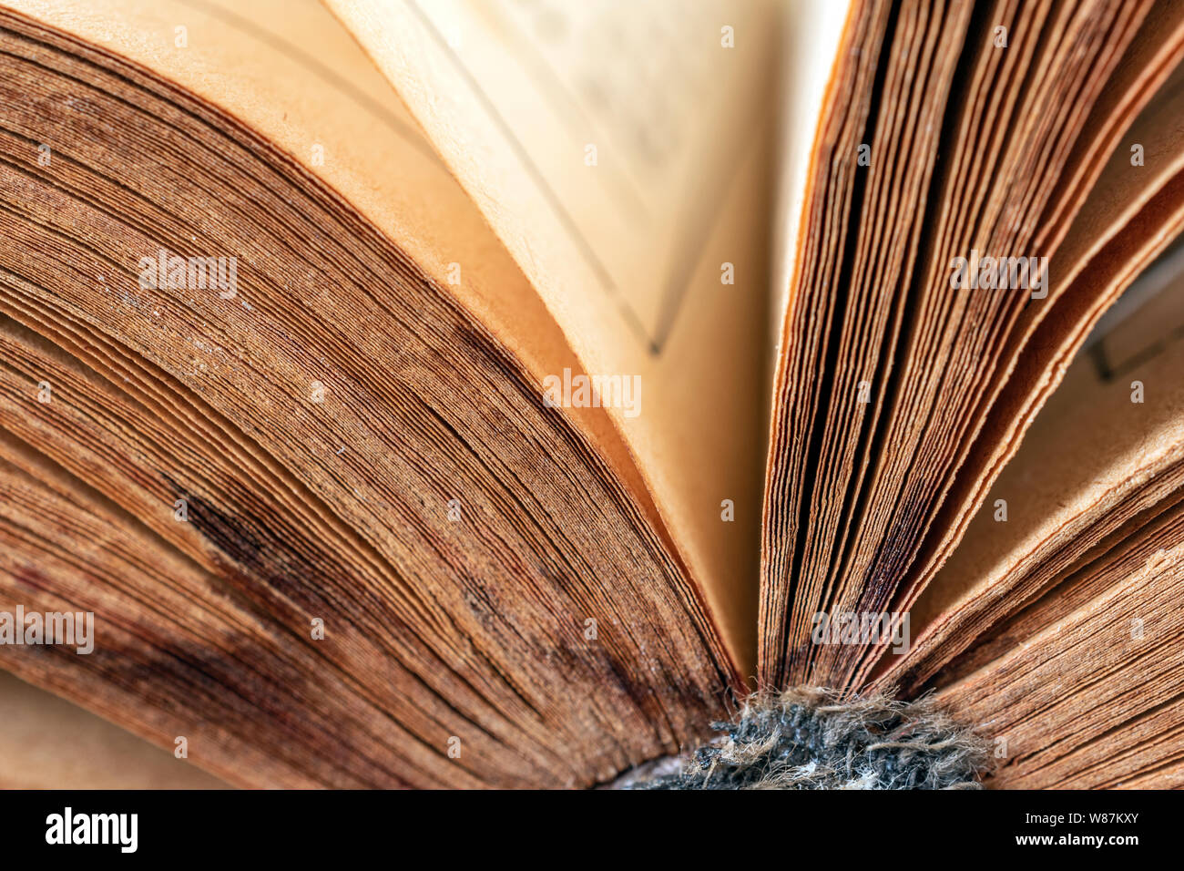 Side view open old book hi-res stock photography and images - Alamy
