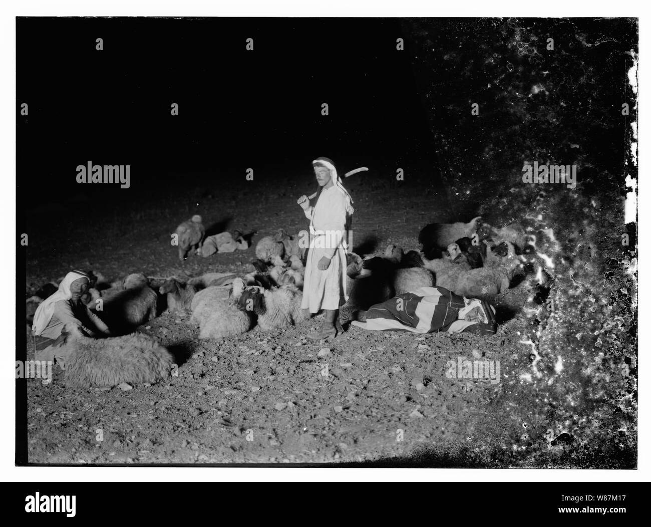 23rd Psalm, sheep Stock Photo - Alamy