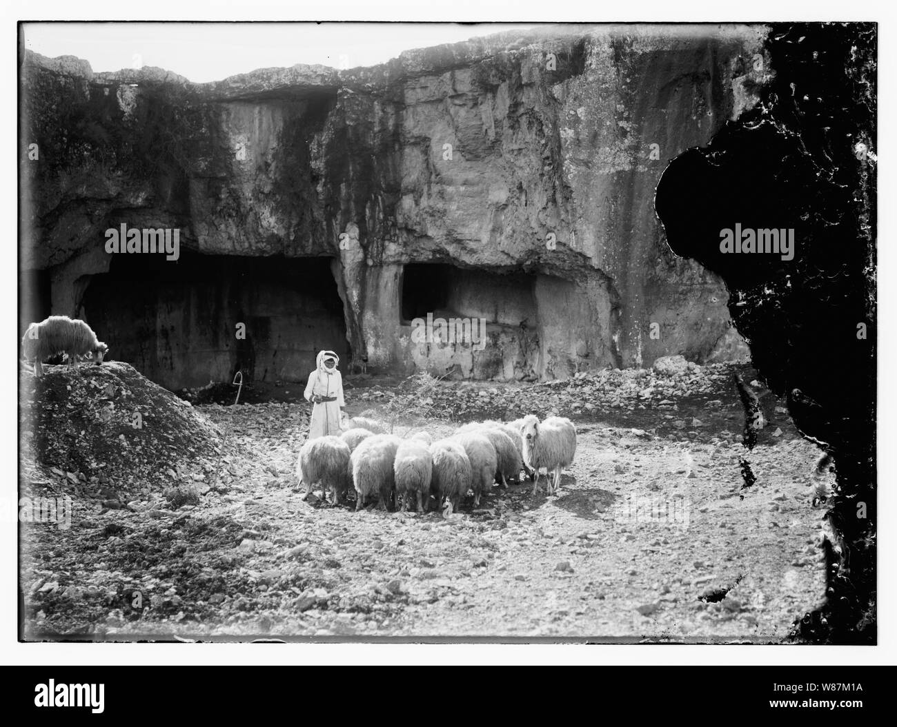 23rd Psalm, sheep Stock Photo - Alamy