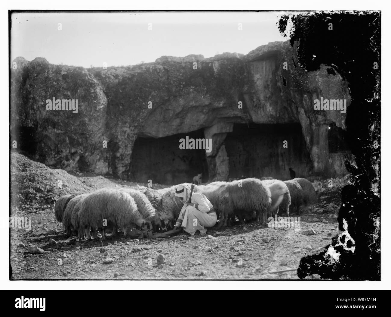 23rd Psalm, sheep Stock Photo - Alamy