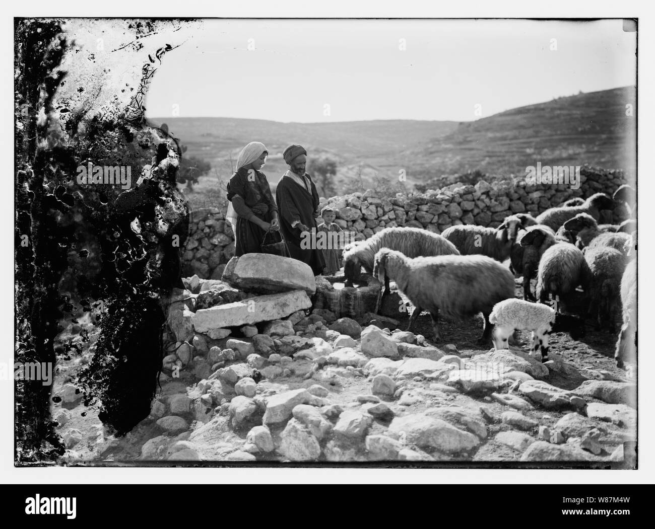 23rd Psalm, sheep Stock Photo - Alamy