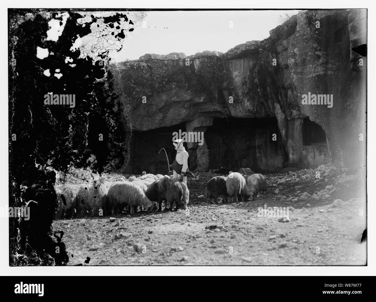 23rd Psalm, sheep Stock Photo - Alamy