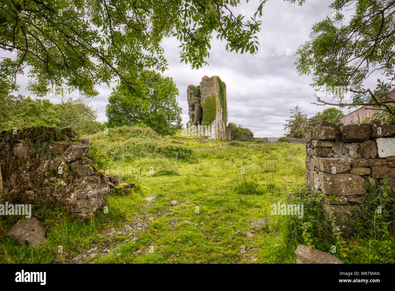 Ruins of Castle Burke, northern shore of Lough Carra in County Mayo ...