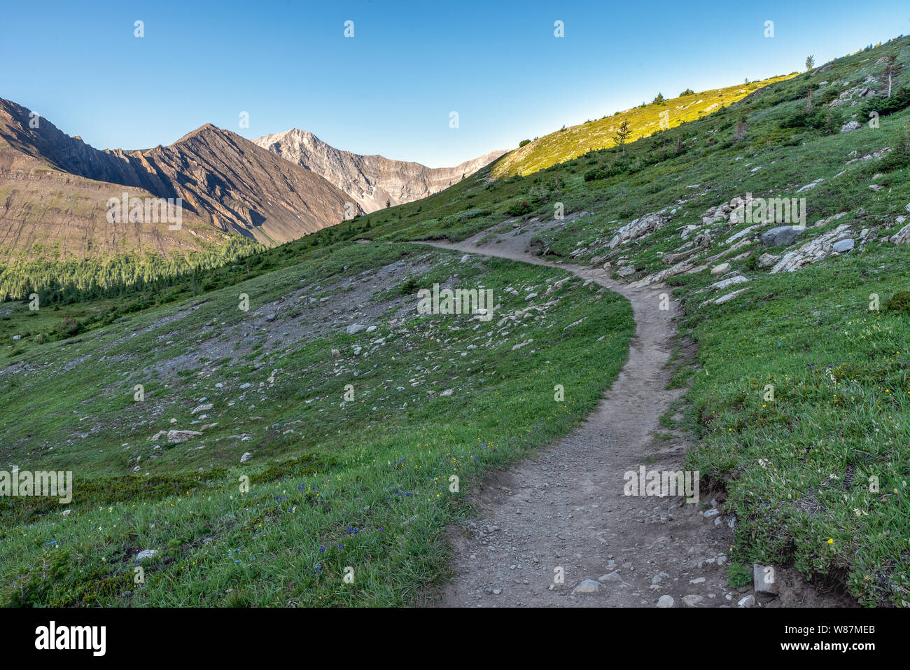 Highwood Pass in Peter Lougheed Provincial Park, Alberta, Canada Stock ...