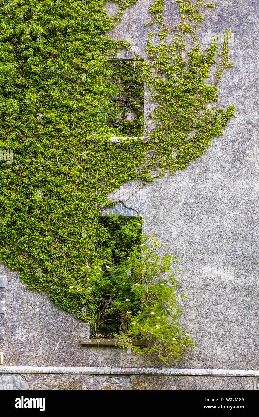 Moore hall county mayo hi-res stock photography and images - Alamy