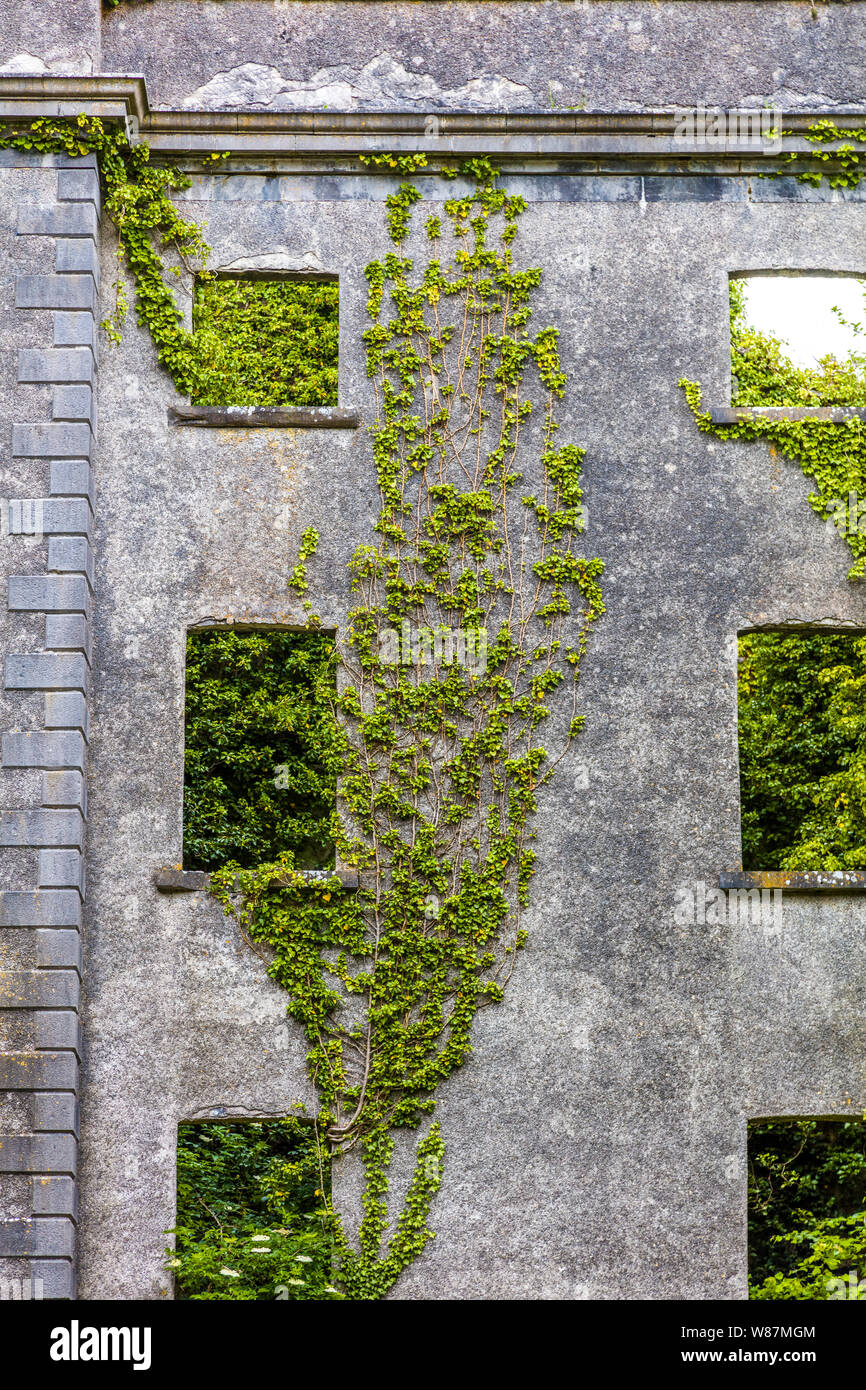 Moore hall ireland hi-res stock photography and images - Alamy