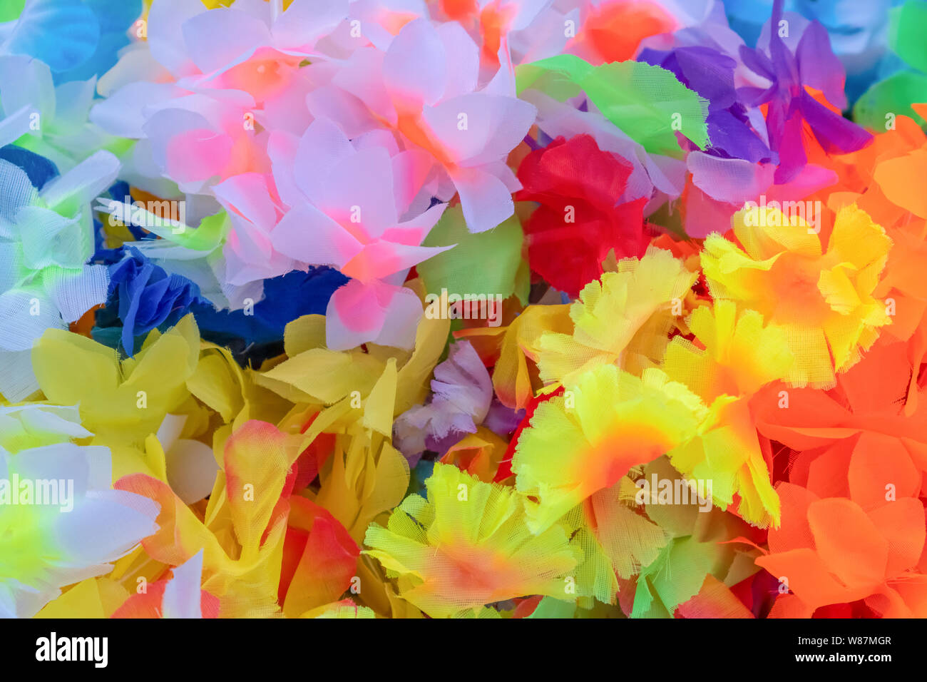 beautiful colors of plastic flowers. Colorful flowers, colorful flowers ...