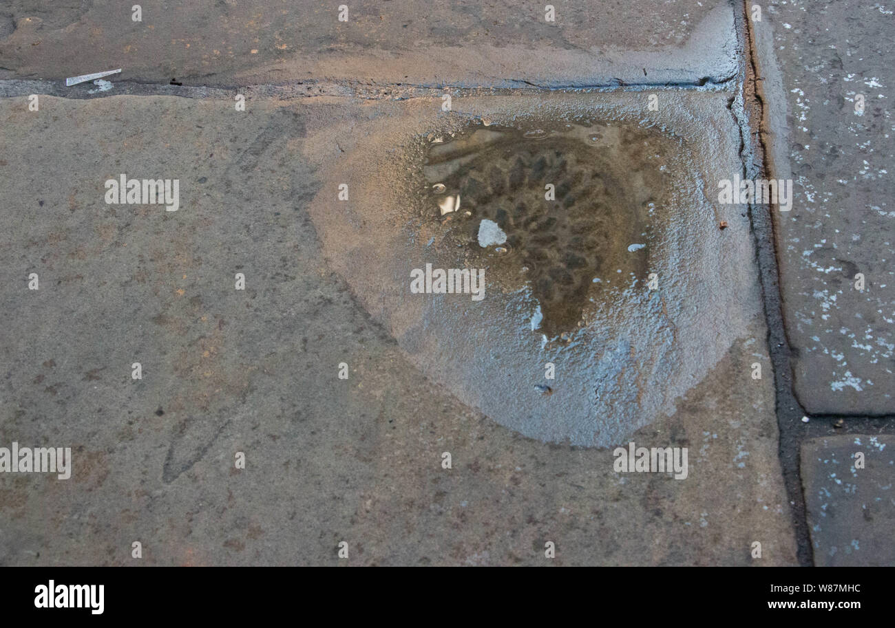 York Minster's Rose Window reflected in puddle in flagstone pavement ...