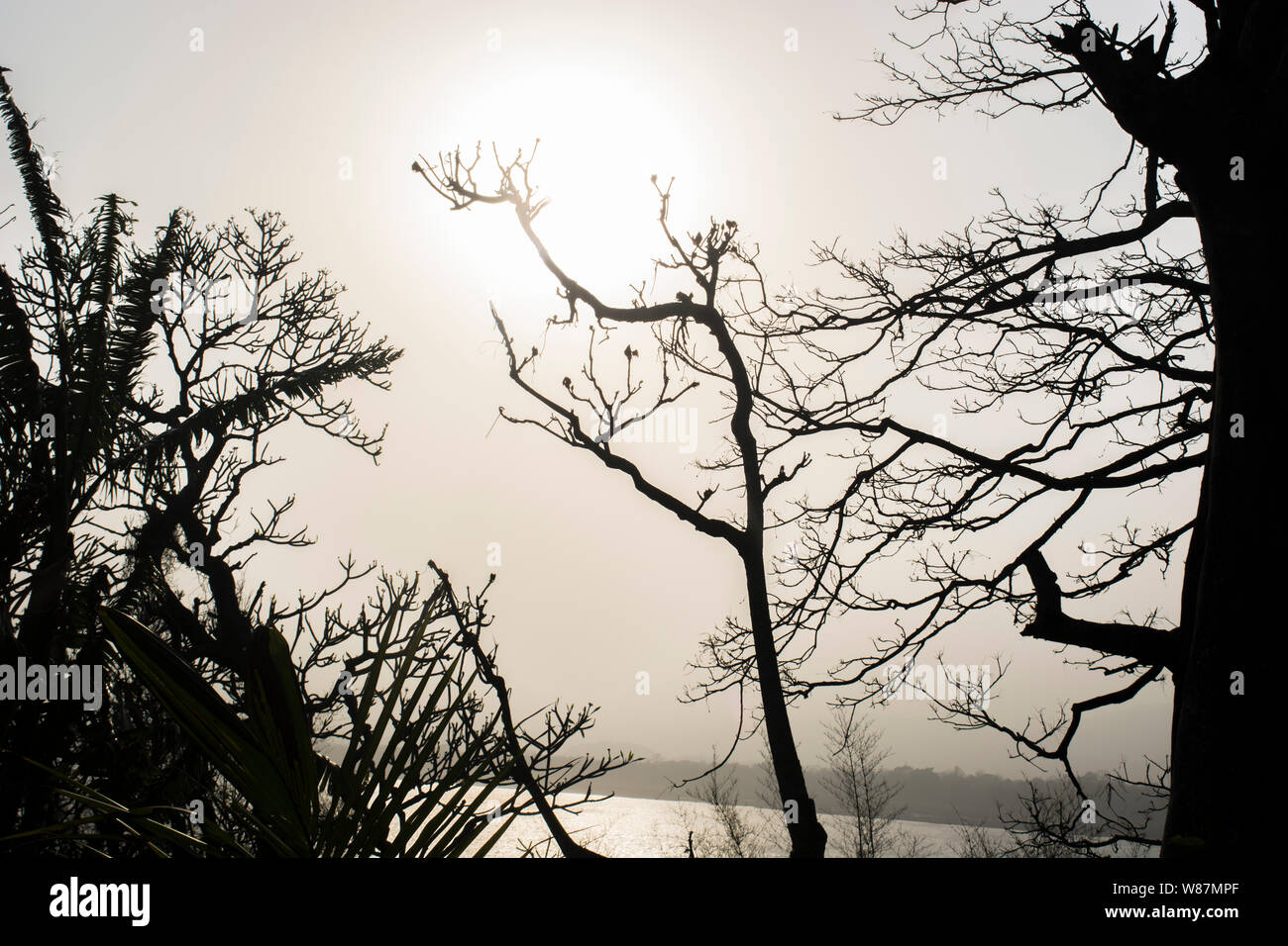 View from Umananda temple is located in an island surrounded by ...