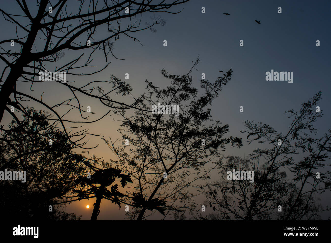 View from Umananda temple is located in an island surrounded by ...