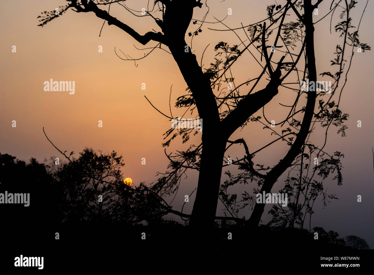 View from Umananda temple is located in an island surrounded by ...