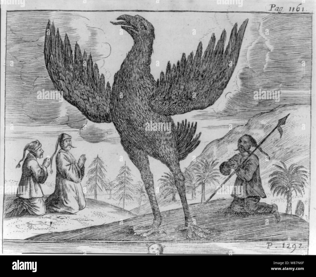 Large knees Black and White Stock Photos & Images - Alamy