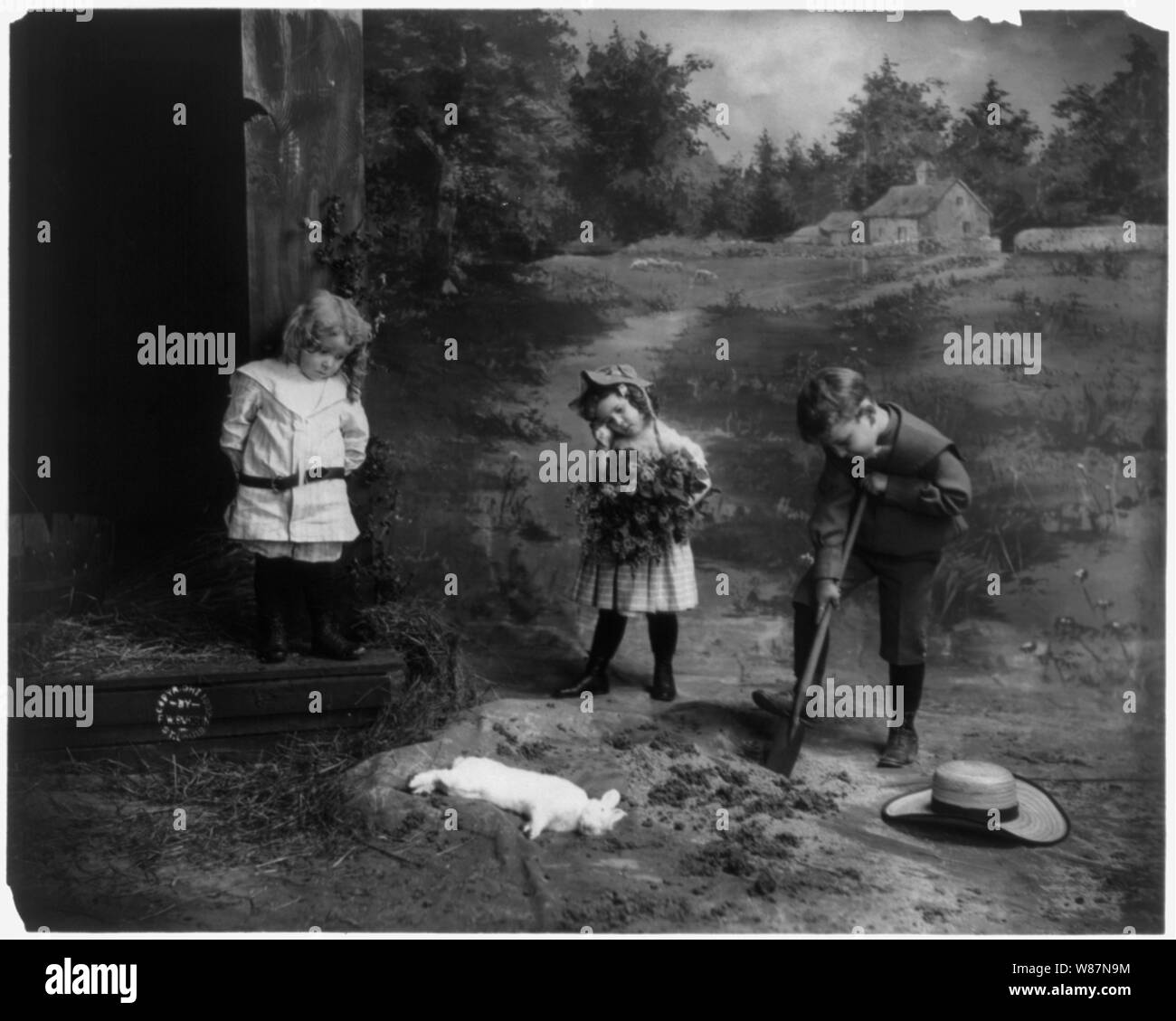 Dead rabbit Black and White Stock Photos & Images - Alamy