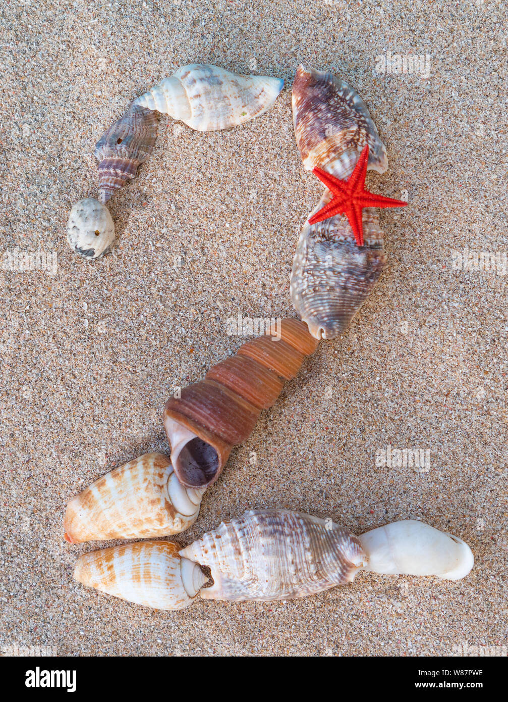 2020 new year shells hi-res stock photography and images - Alamy