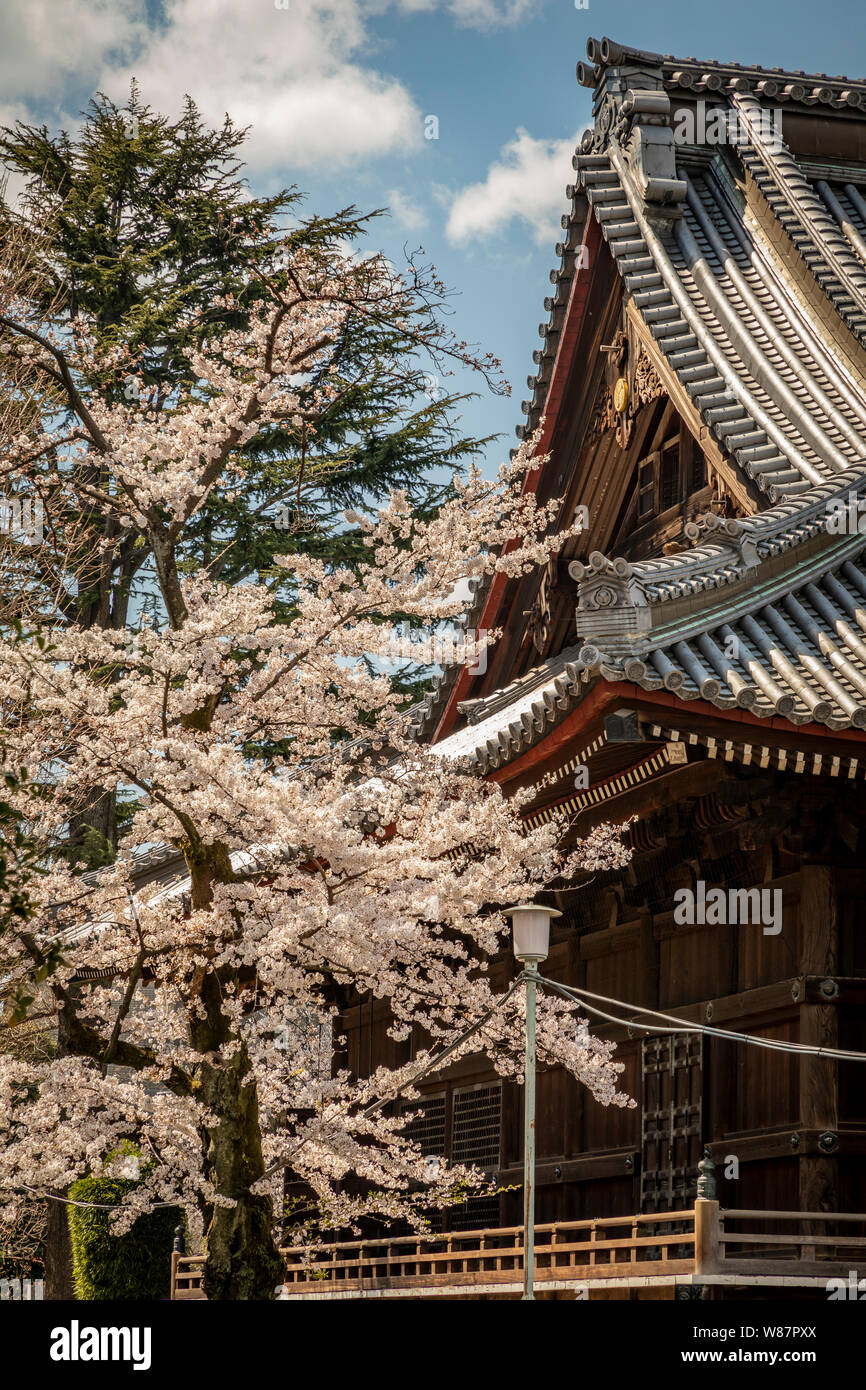 Ueno, Tokyo, Japan Stock Photo - Alamy