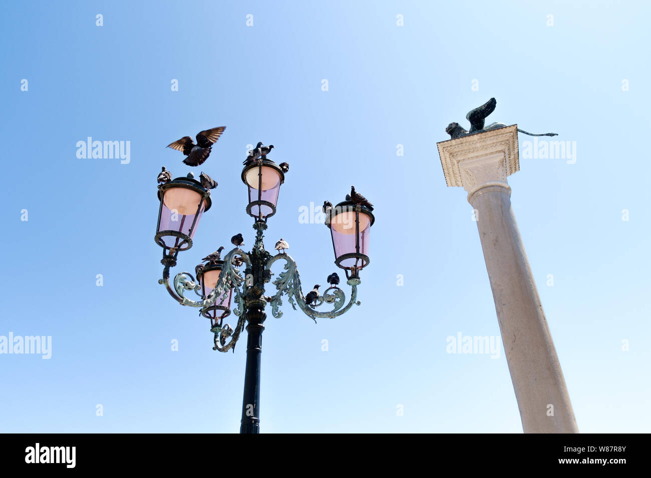 Column of San Marco with lamp and pigeons in foreground Stock Photo - Alamy
