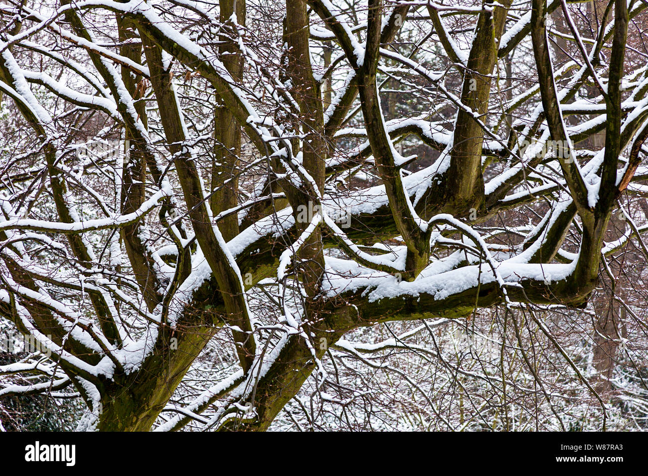 Plantation gardens norwich hi-res stock photography and images - Alamy