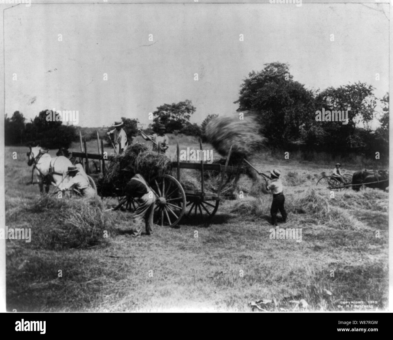 5 men loading hay on a horse-drawn wagon; 1 man with horse-drawn hay ...