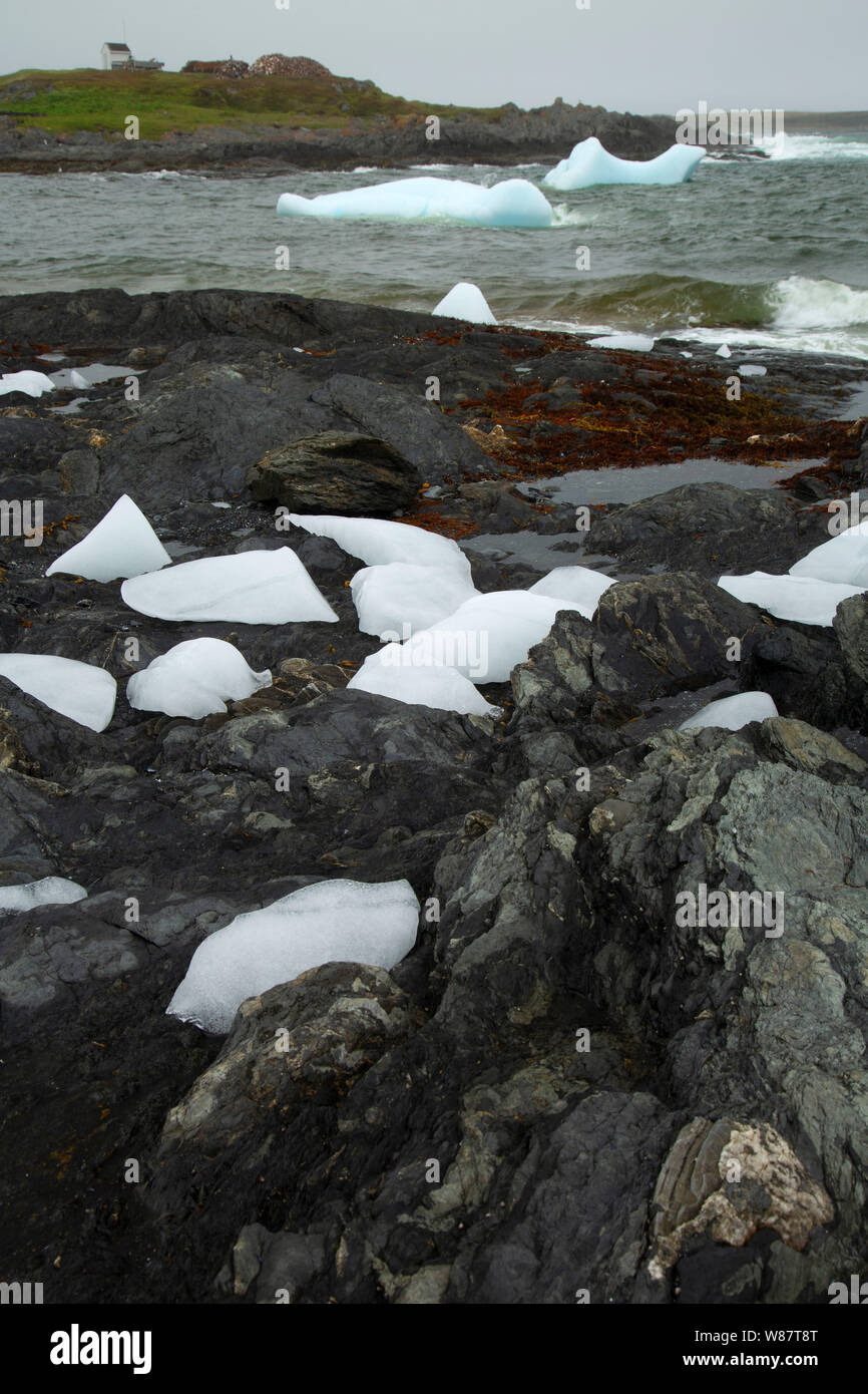 On the great northern peninsula of newfoundland hi-res stock ...