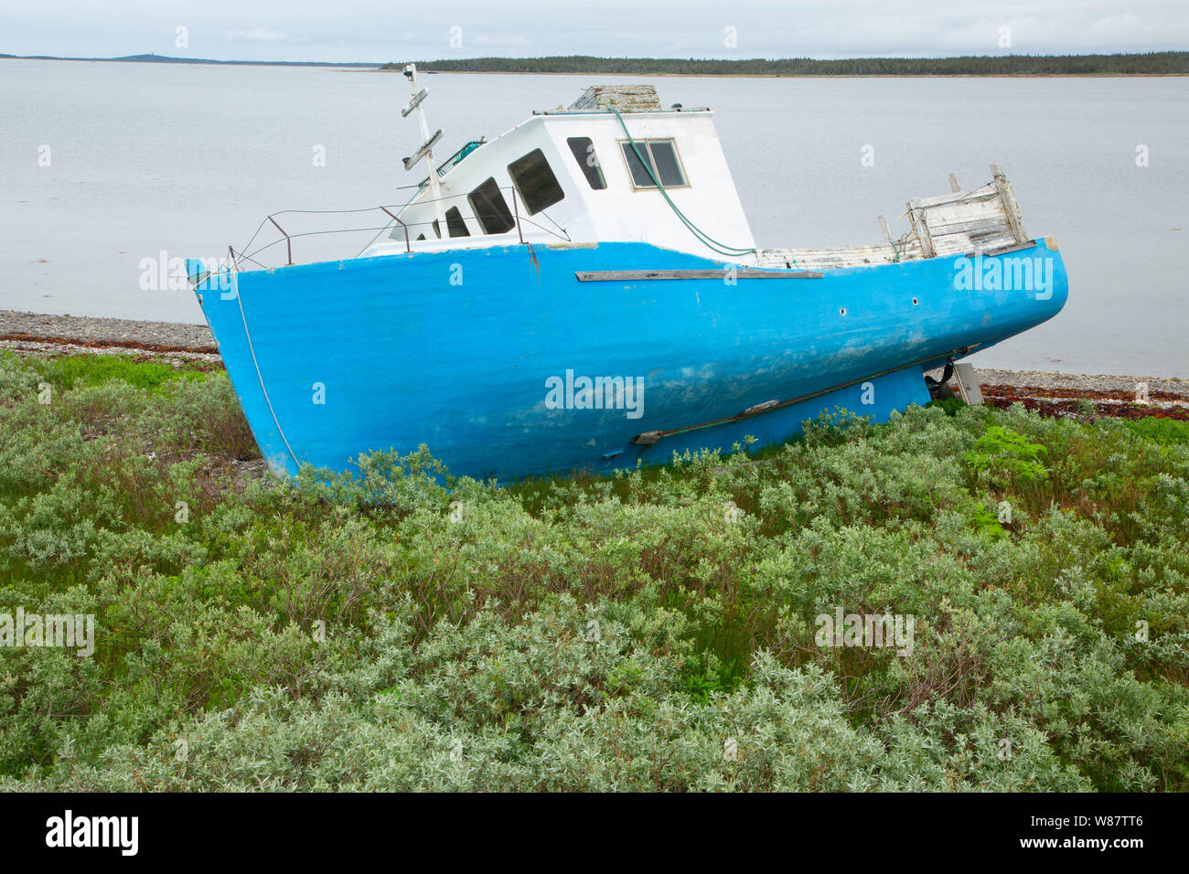 Fishing boat northern peninsula newfoundland hi-res stock photography ...