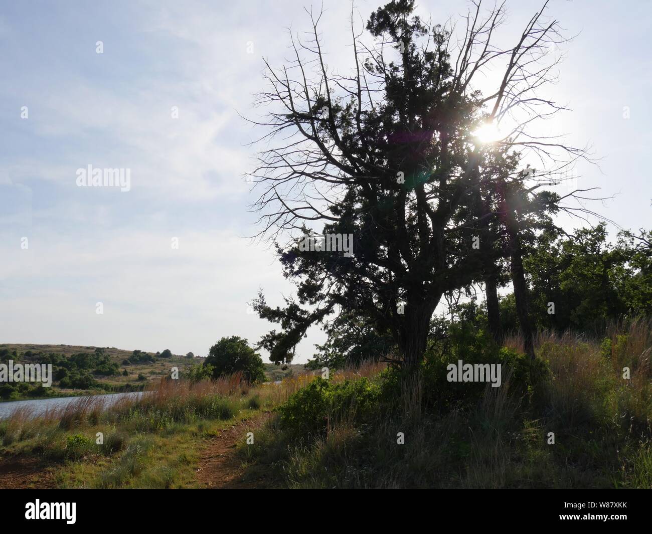 Elmer thomas lake hi-res stock photography and images - Alamy