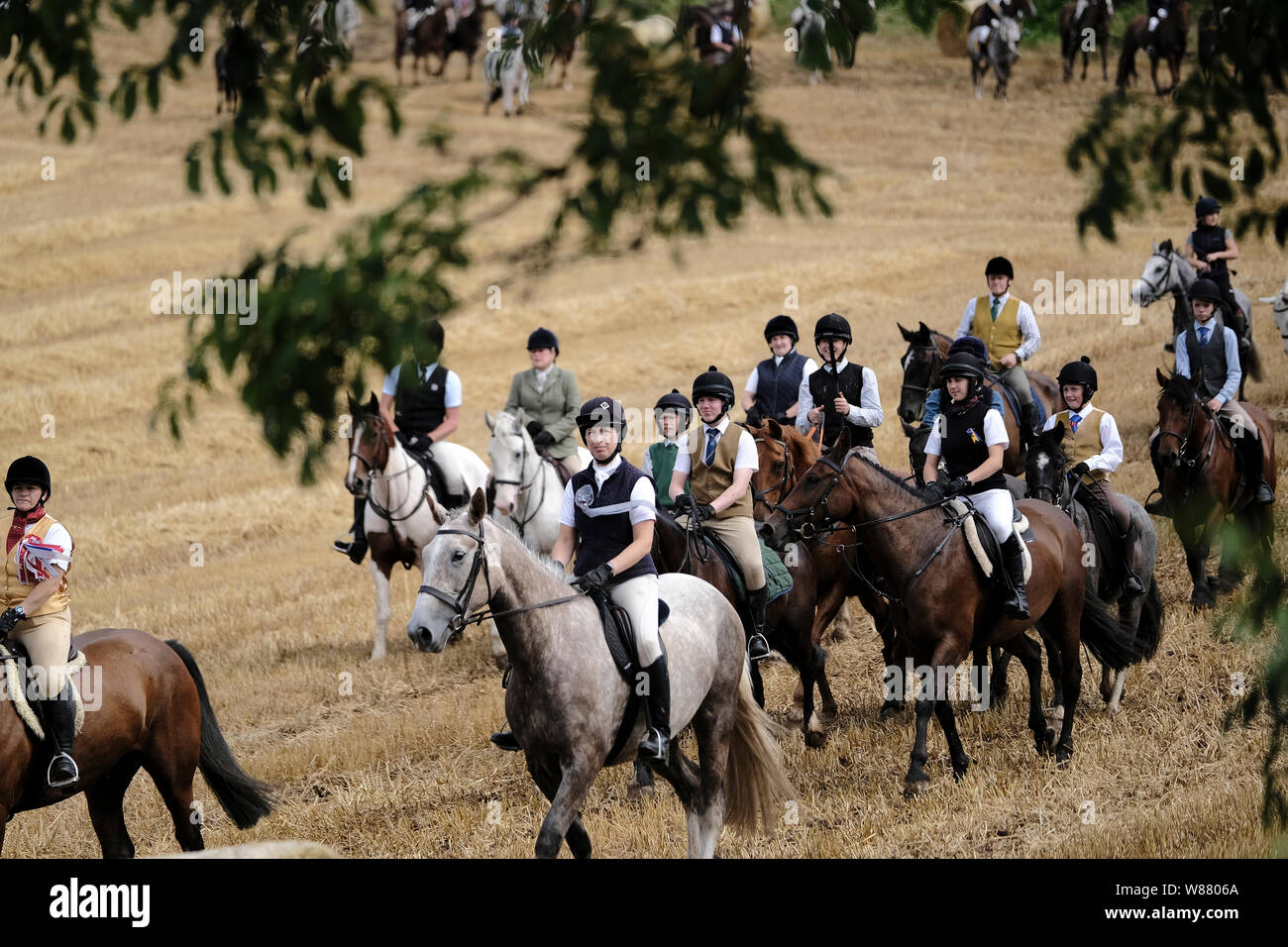 Coldstream, UK. 08th Aug, 2019. Coldstream, SCOTLAND - August 08 ...