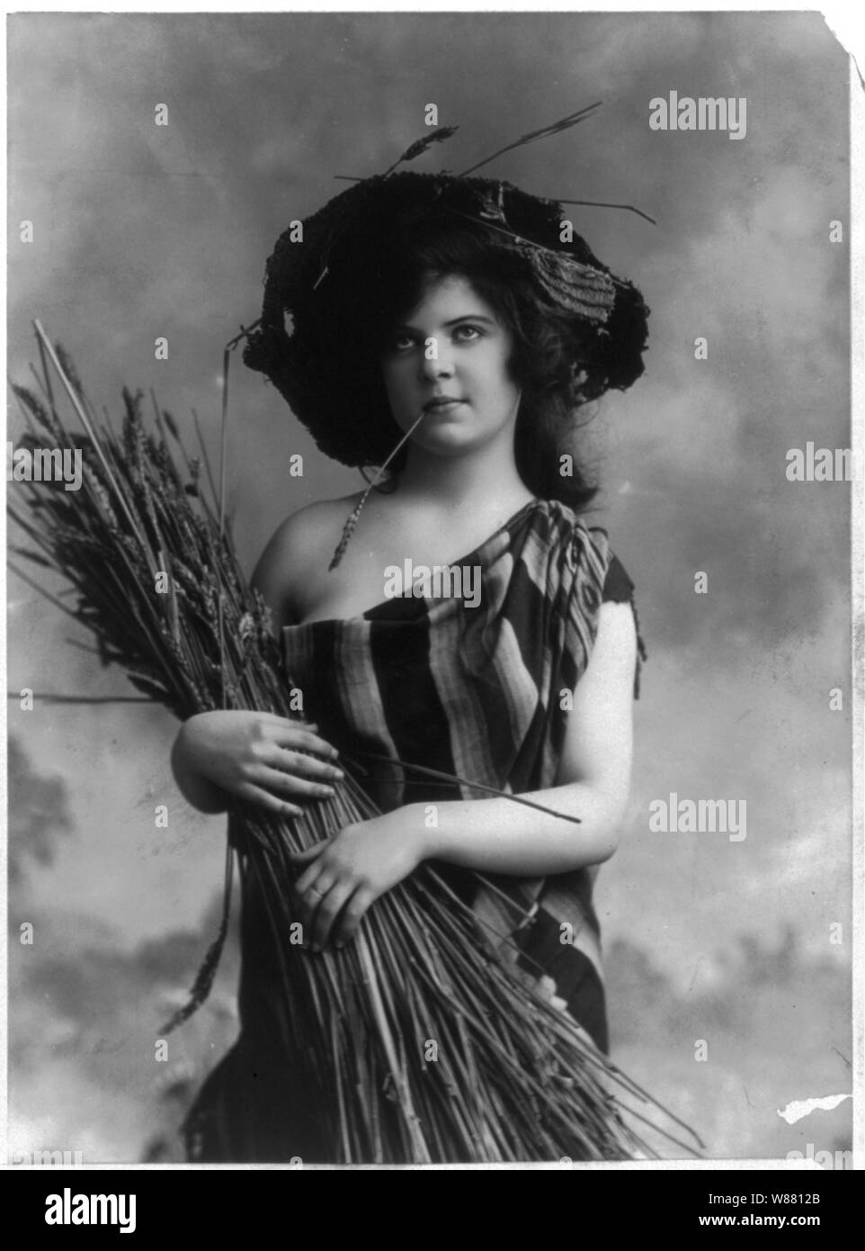 Hayseed High Resolution Stock Photography and Images - Alamy