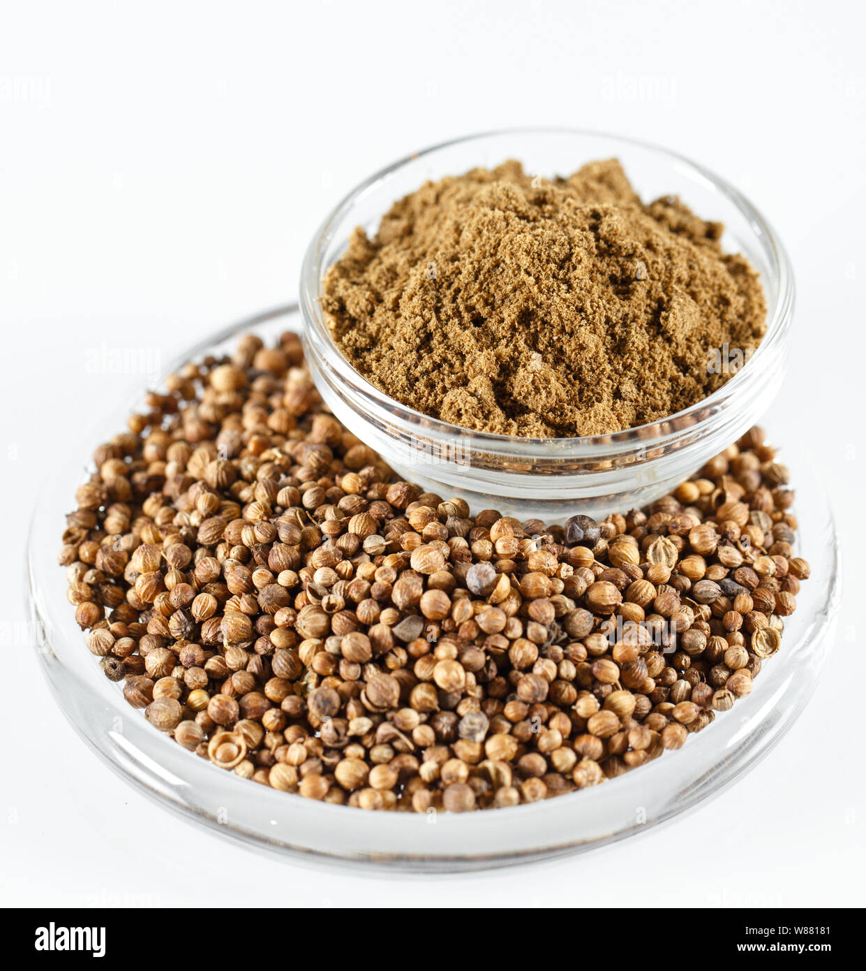 Coriander Isolated on the white background in a plate Stock Photo - Alamy