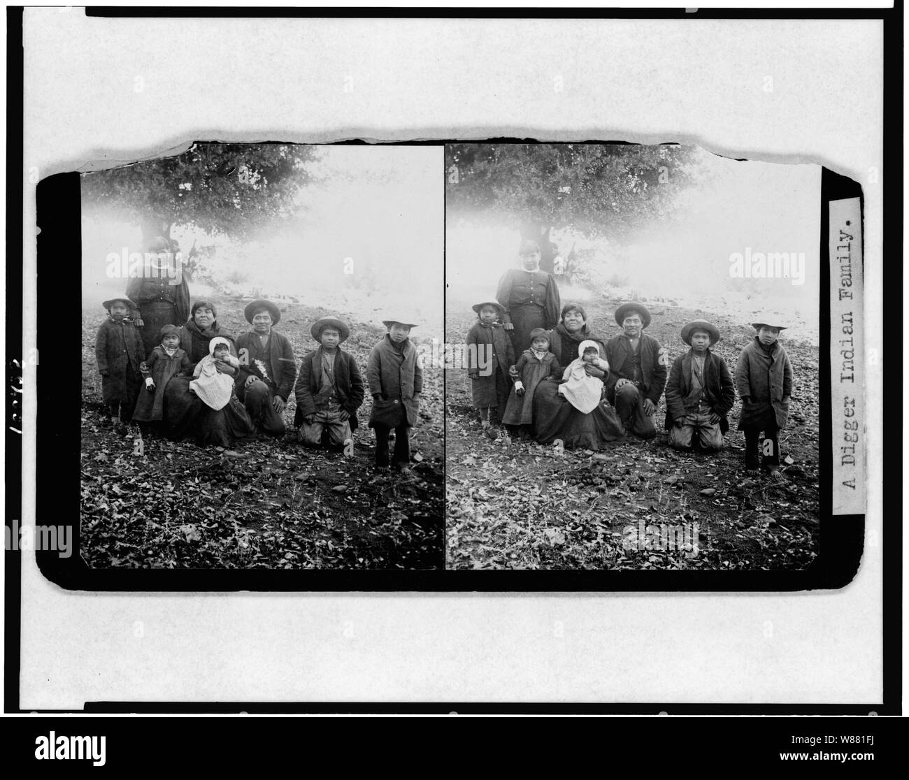 Family clan Cut Out Stock Images & Pictures - Alamy