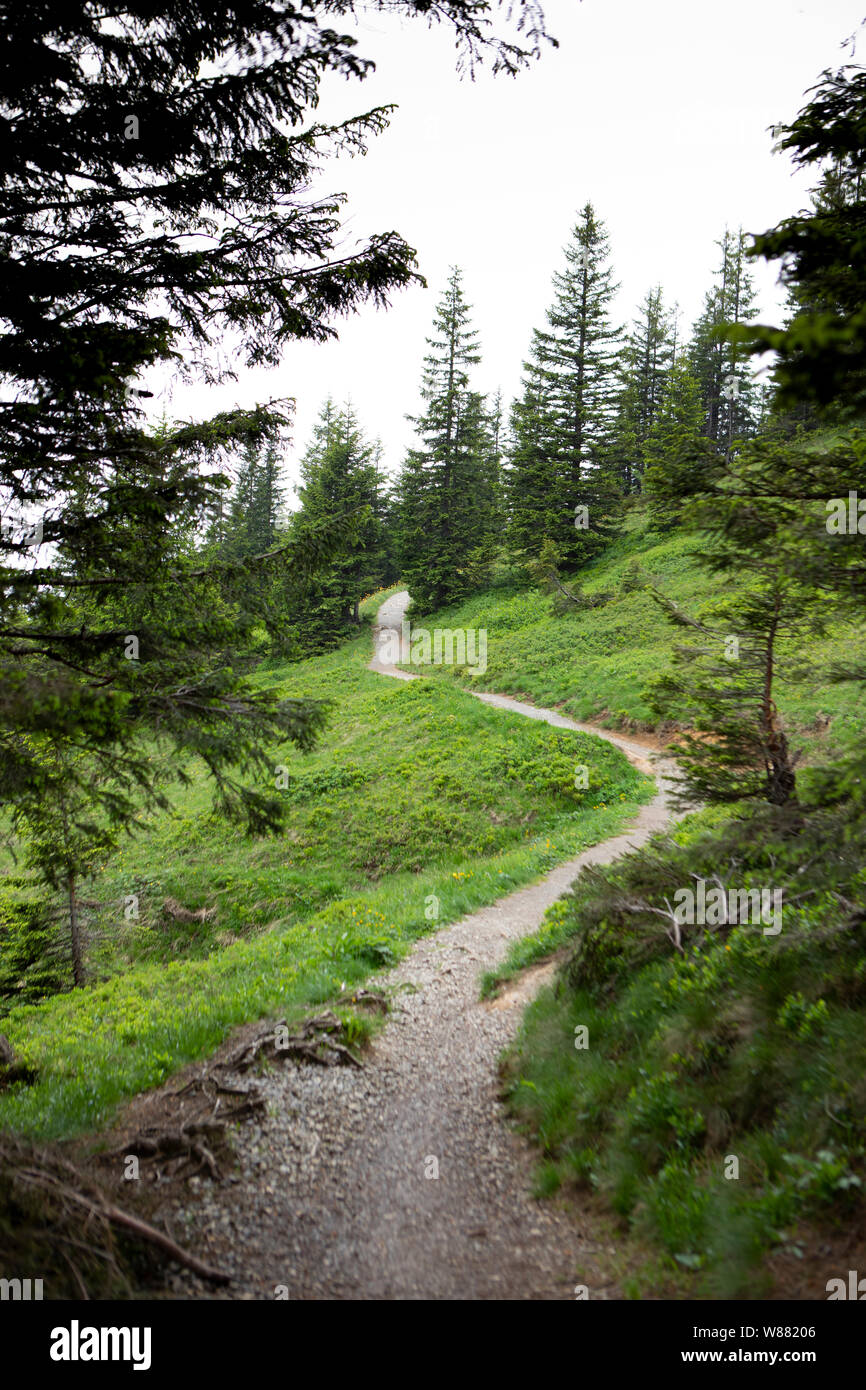 Winding Mountain Path