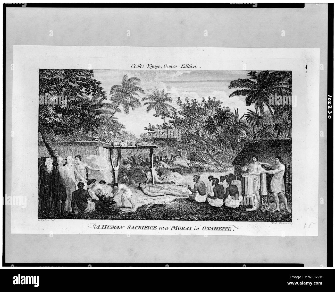 A Human sacrifice in a Morai in Otaheite i.e. Tahiti / Webber, J. del ...