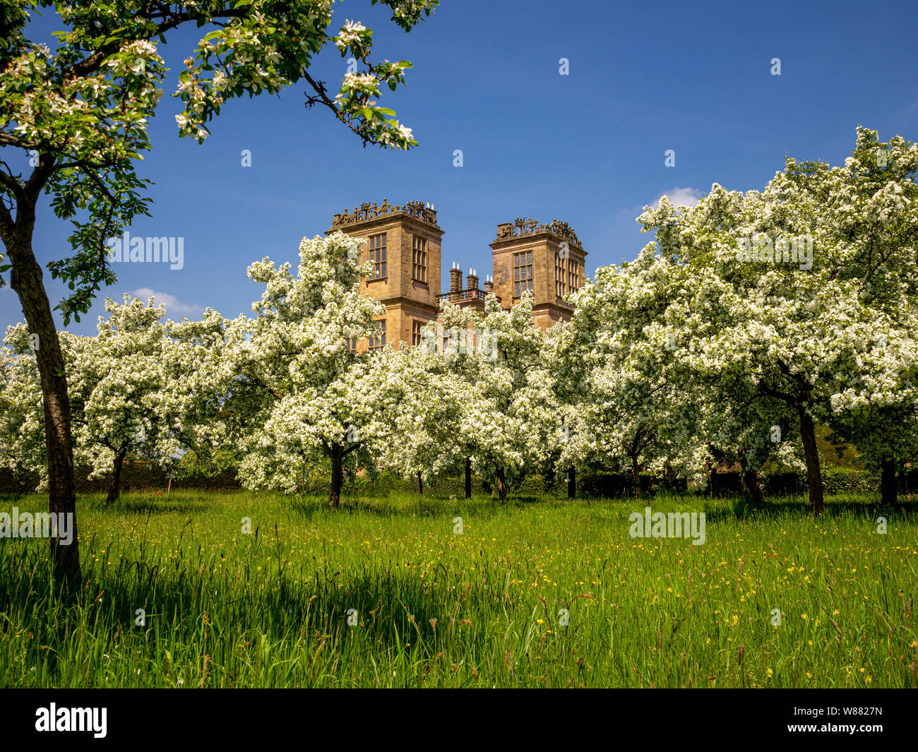 Hardwick hall hi-res stock photography and images - Alamy