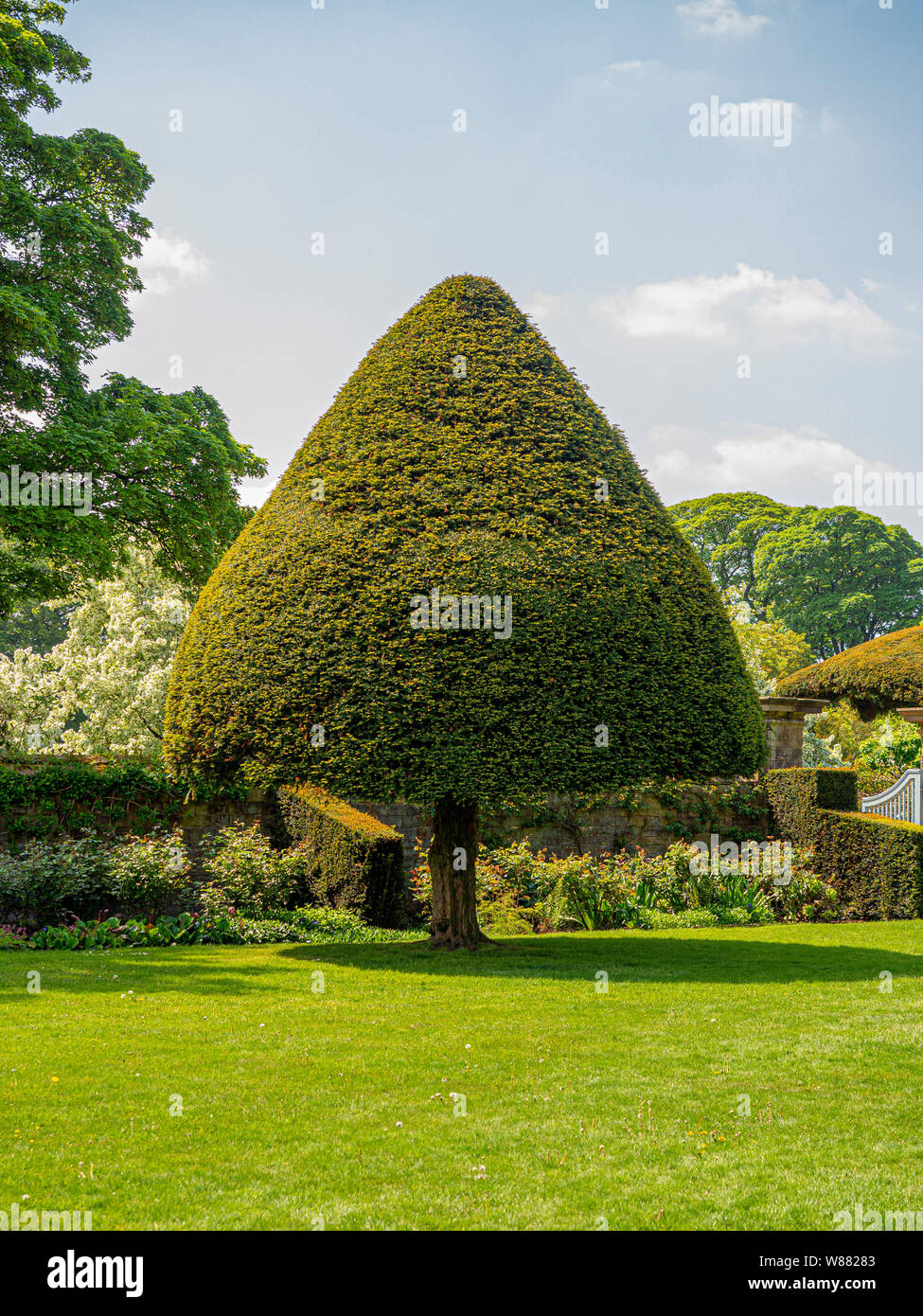 Cone shape hi-res stock photography and images - Alamy