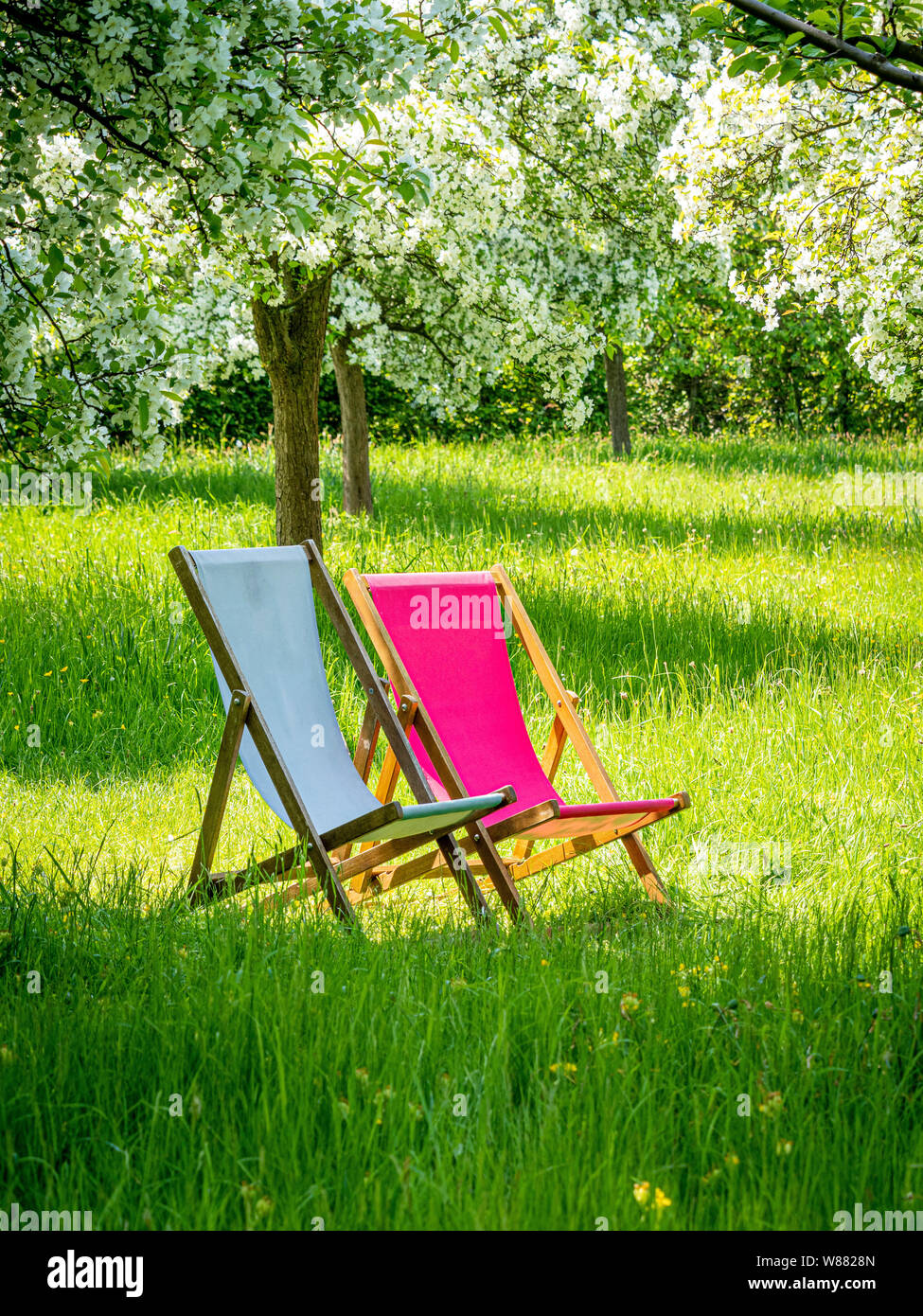 Deckchairs grass hi-res stock photography and images - Alamy