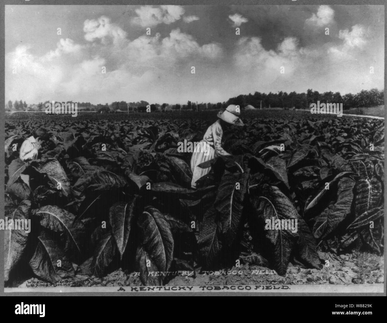 Kentucky rural community Black and White Stock Photos & Images - Alamy