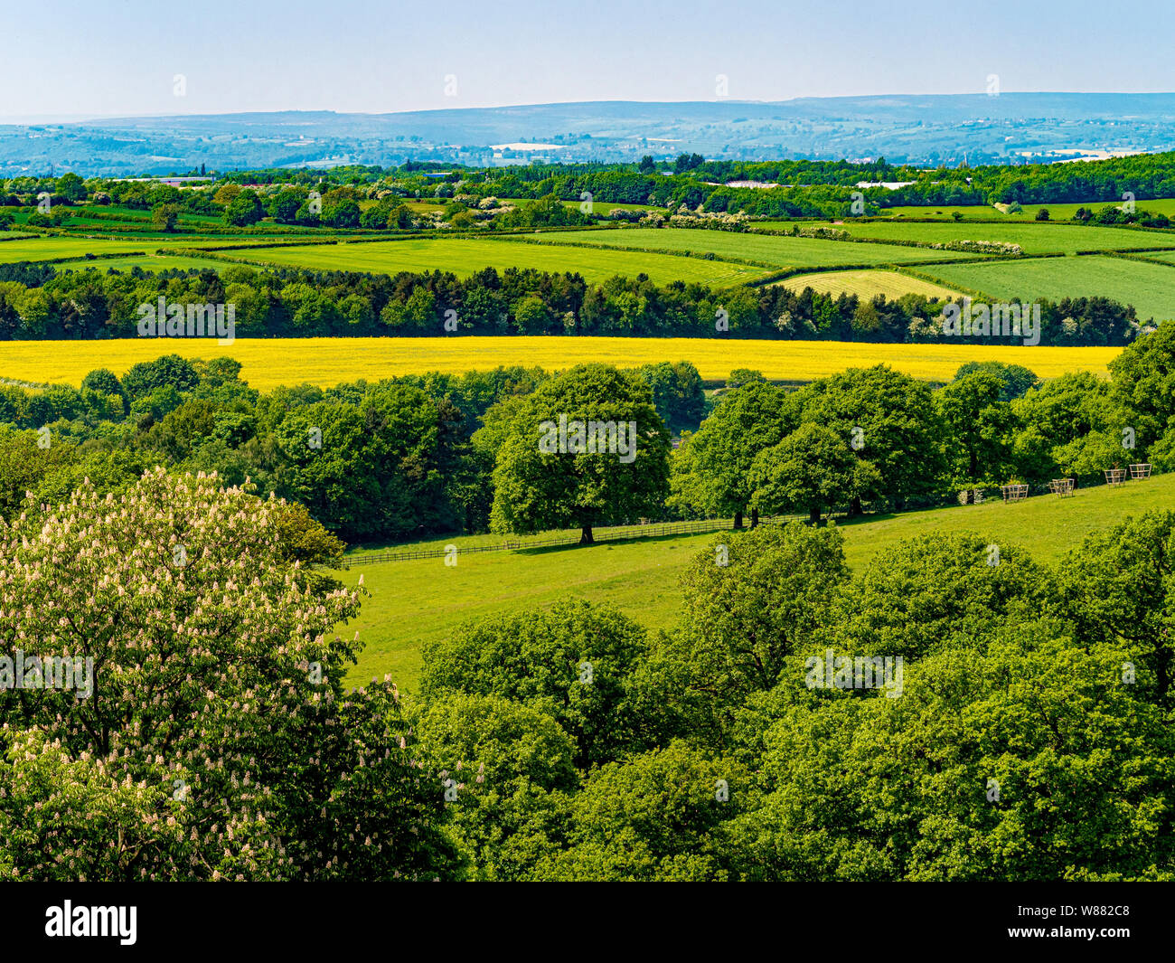 British landscape with fields, hedges, trees, blossom and field of ...