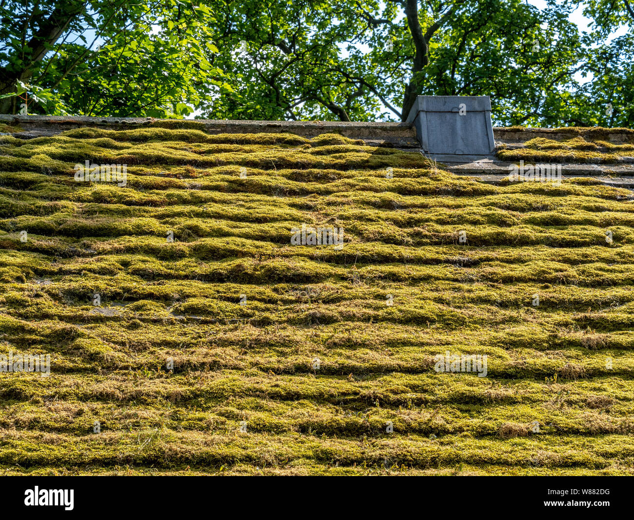 Moss roof hi-res stock photography and images - Alamy