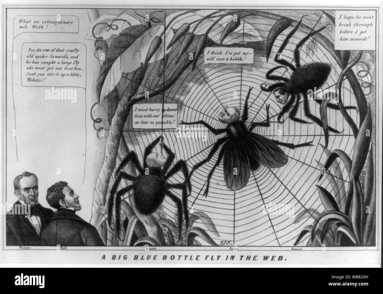 Spider fly web Black and White Stock Photos & Images - Alamy