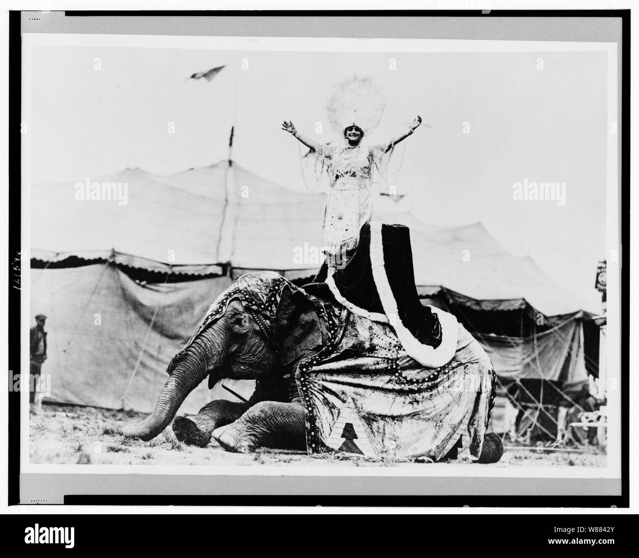 A circus queen hi-res stock photography and images - Alamy