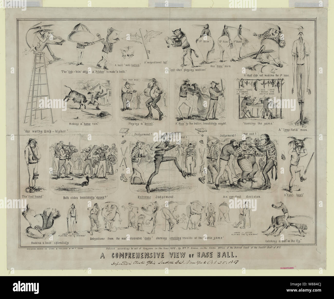 Comprehensive view hi-res stock photography and images - Alamy