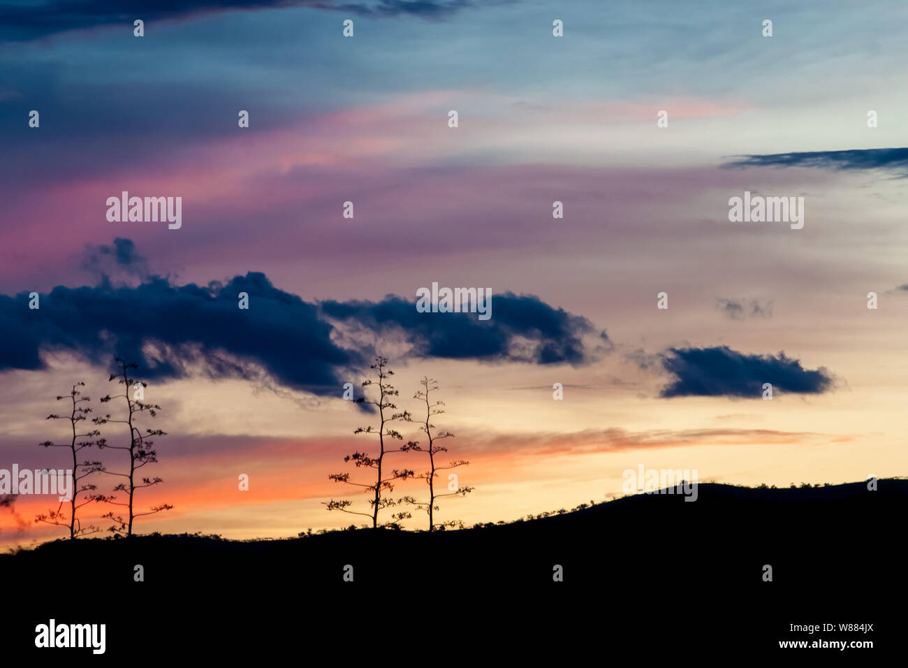 Landscape of sunset, dusk, or twilight on the horizon, multi color ...
