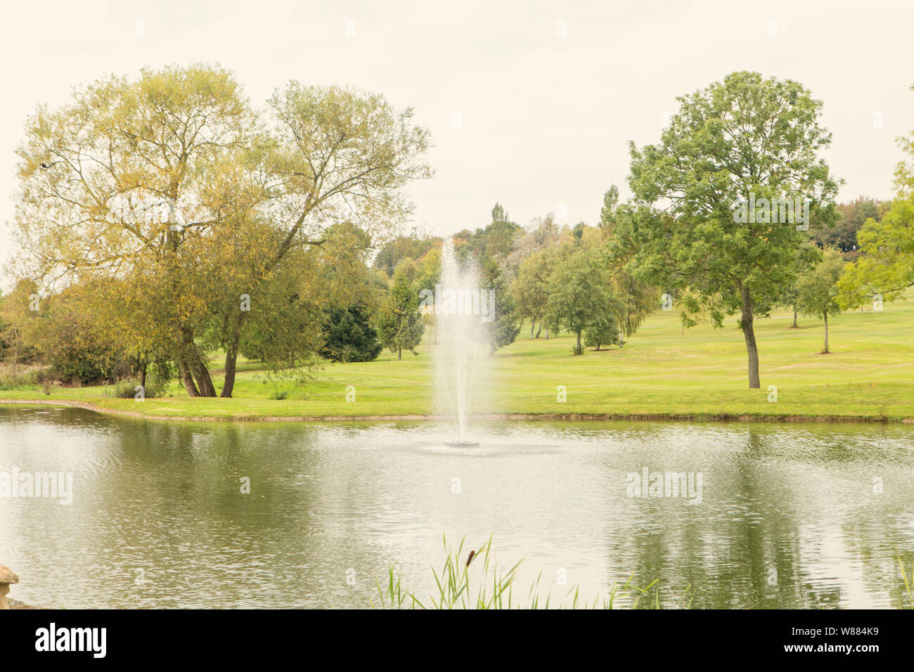 Wild english gardens with pathway hi-res stock photography and images ...