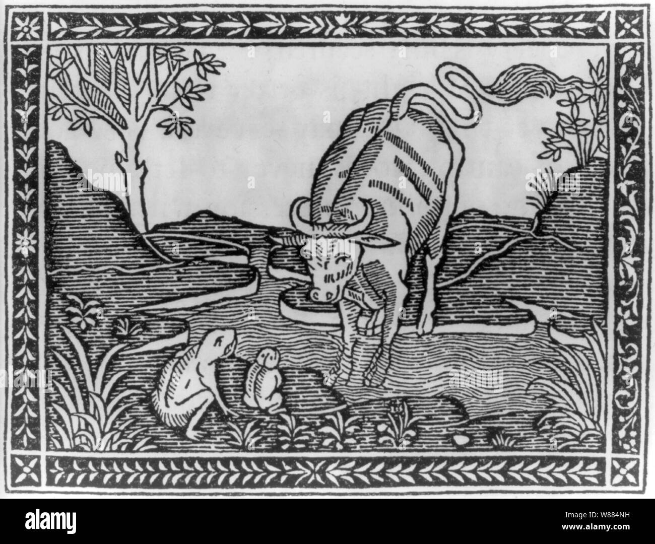 A cow and 2 frogs Stock Photo - Alamy