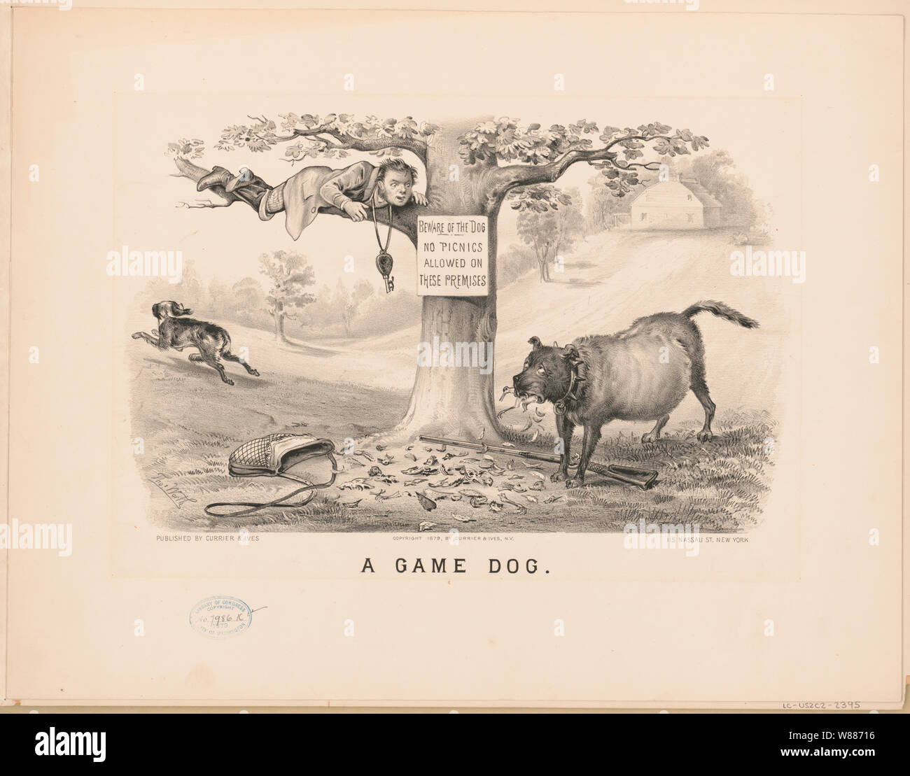 Dog with hunting instinct hi-res stock photography and images - Alamy